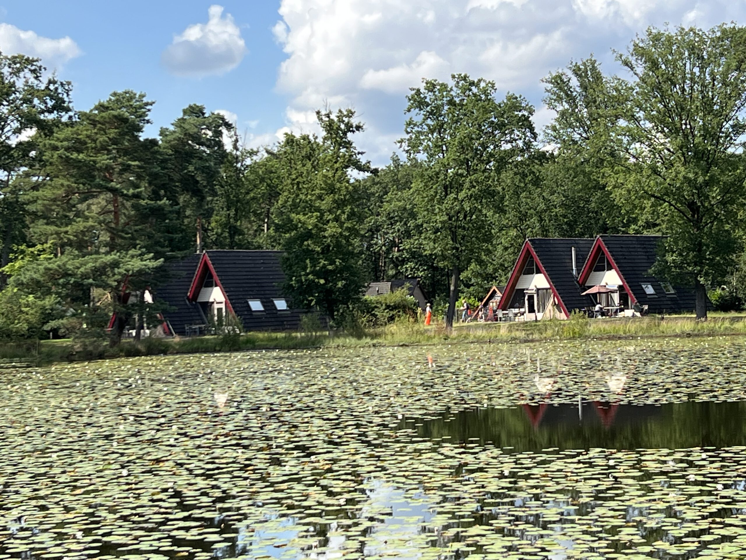 't Vosseven vakantiepark Limburg: Geniet van de Natuur - Vakantiepark ...